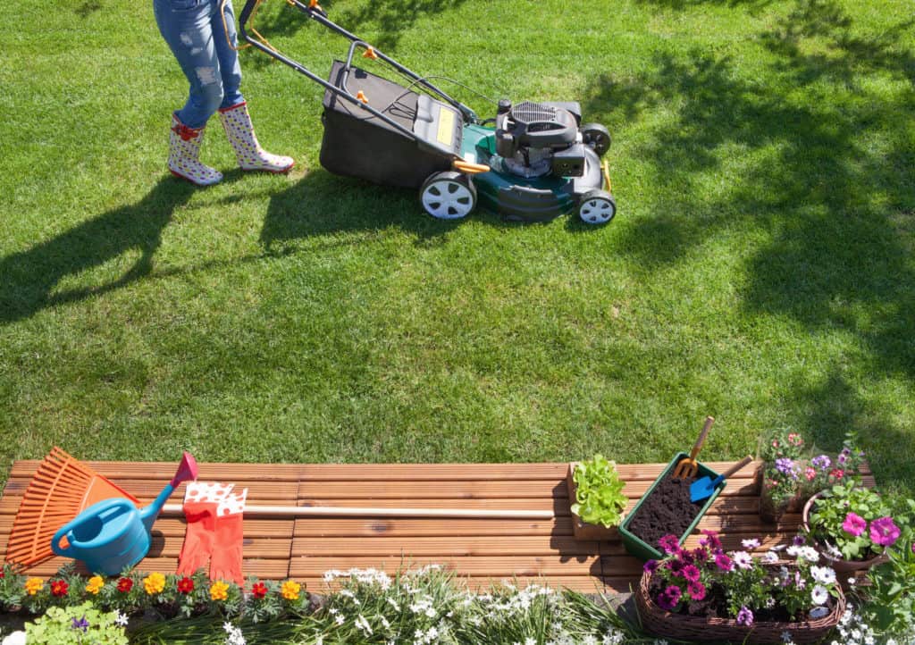How to Maintain Your ProVista Lawn? A Complete Guide 2025