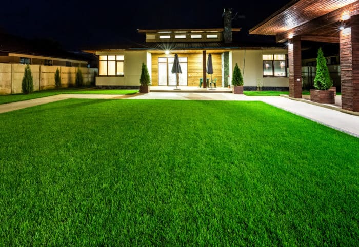 Understanding the Different Varieties of Sod: Tampa Sod Firm
