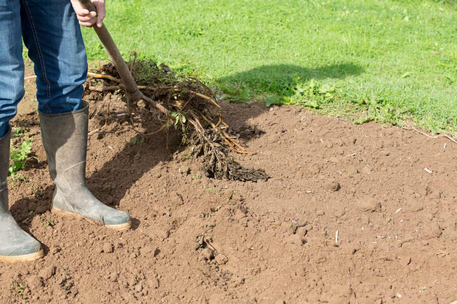Before Laying Sod: How to Get Rid of Weeds?