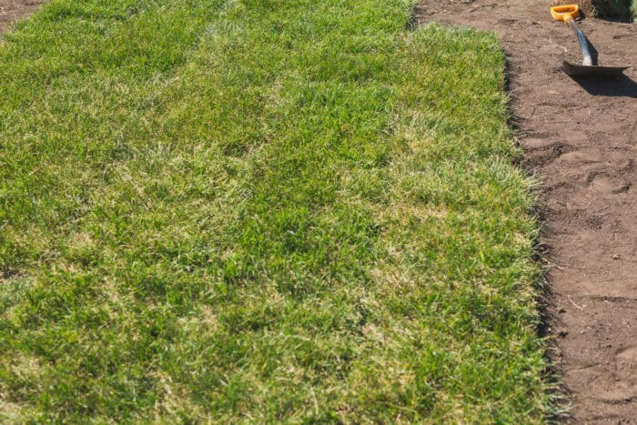 Choosing The Right Quality Sod For Your Florida Lawn