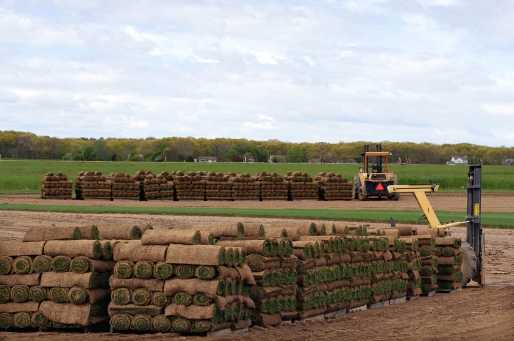 Tampa Sod Farm – Empire Zoysia, Bermuda, & St Augustine Sod